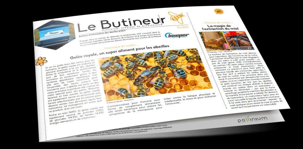 Le butineur, toutes les infos sur la ruche Beeper - Été 2023