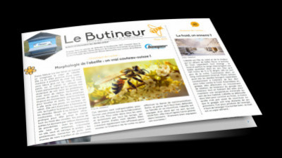Le butineur, toutes les infos sur la ruche Beeper - Printemps 2024