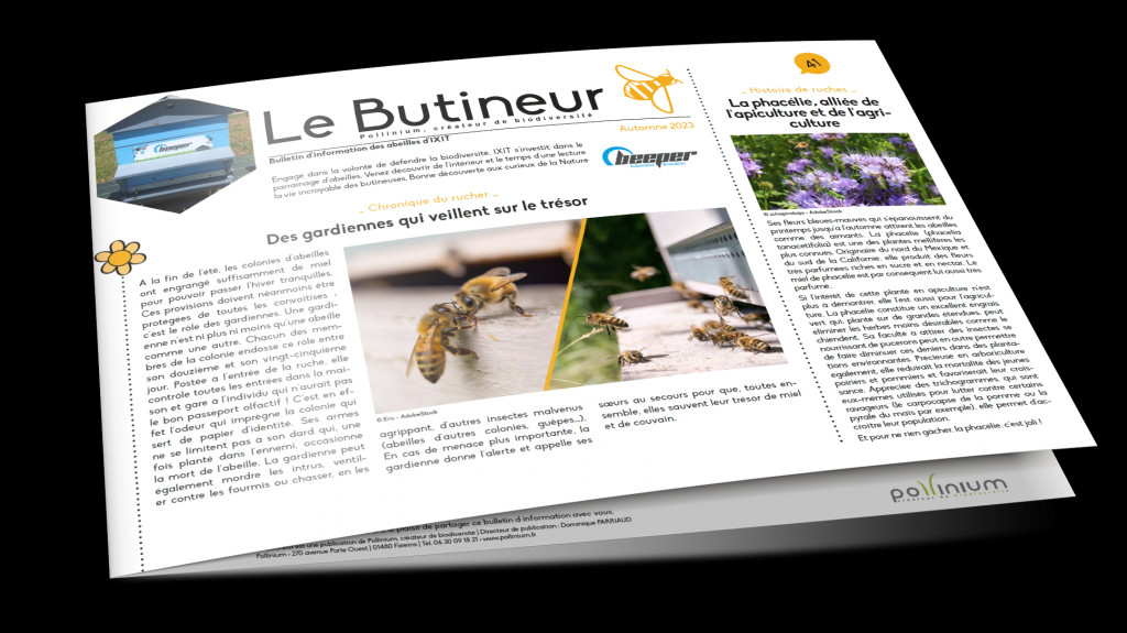 Le butineur, toutes les infos sur la ruche Beeper - Été 2024